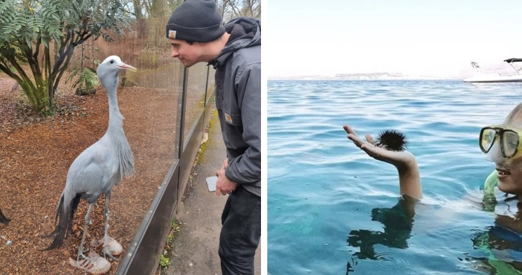 20 Pics Taken From Confusing Perspectives That Take A Minute To Figure Out. – We Laugh